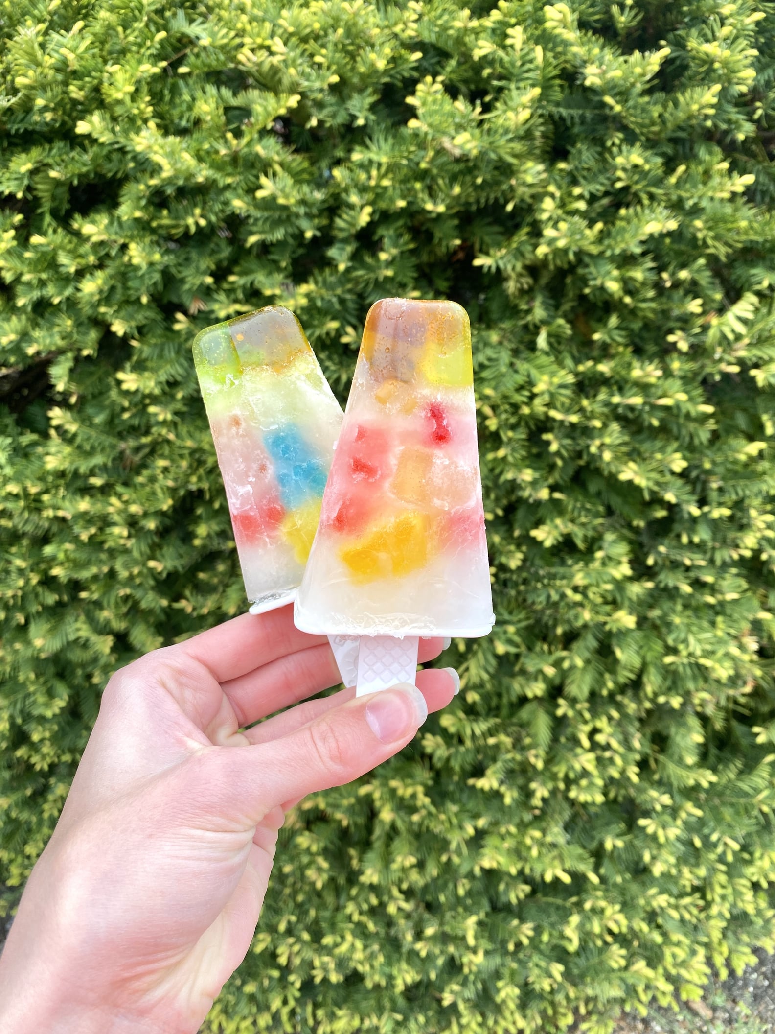 Spiked Gummy Bear Popsicles Recipe With Photos | PS Food