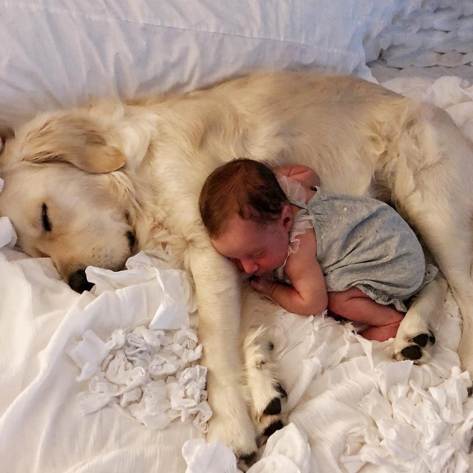 Cute Pictures of Dogs Napping With Kids and Babies | PS Family