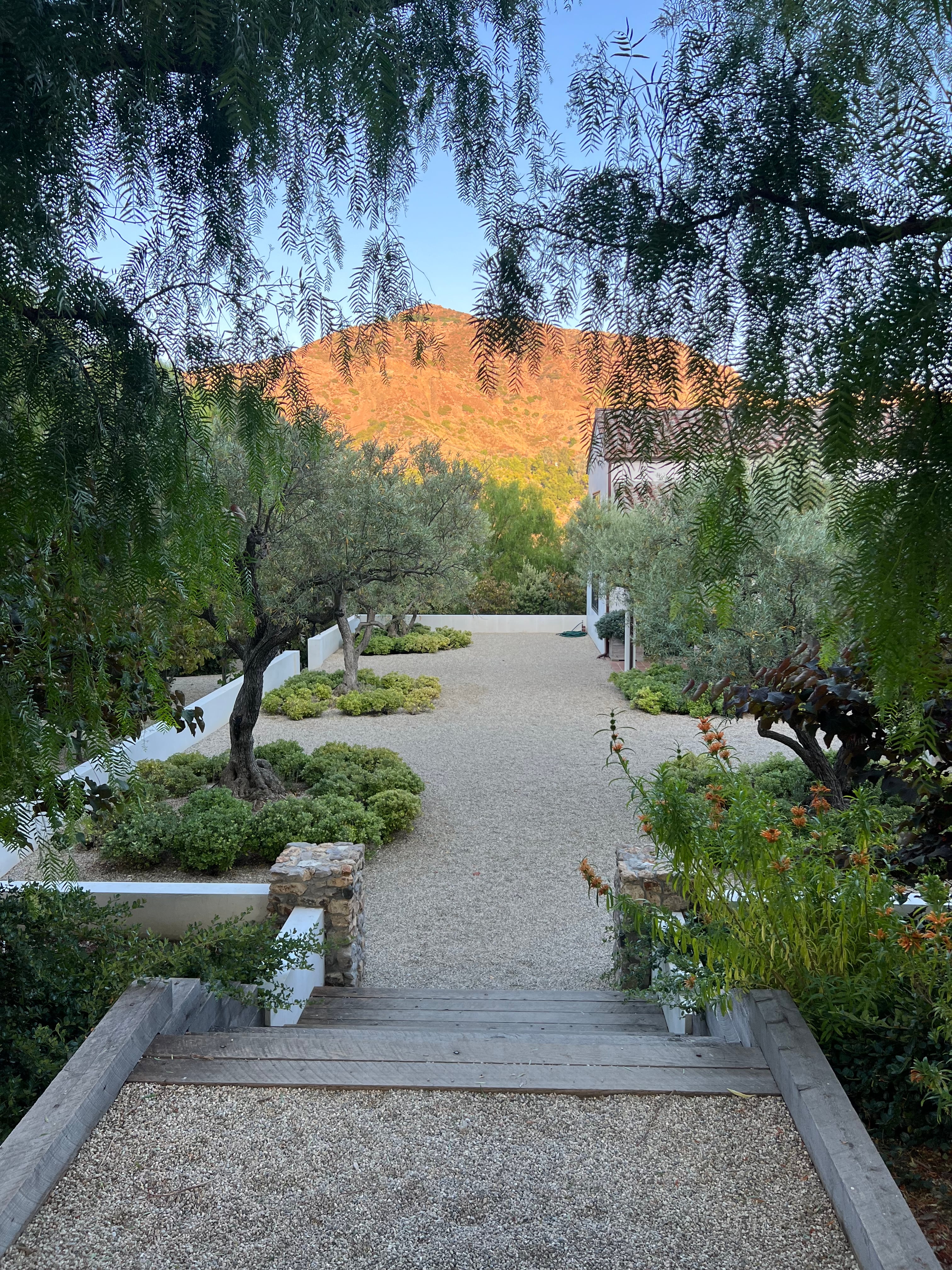 the ranch tripadvisor