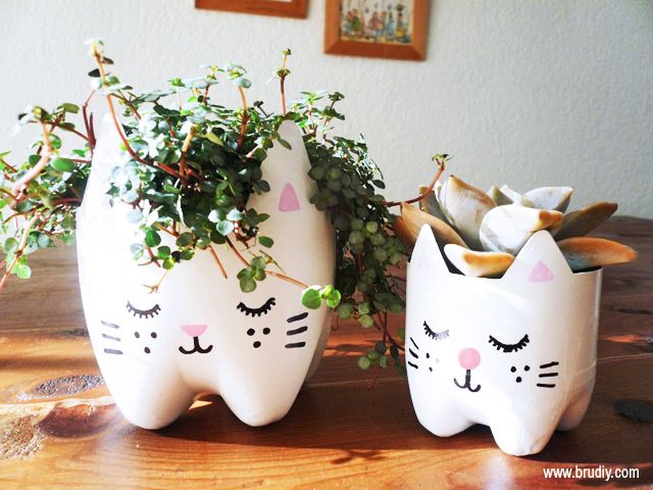 DIY Gifts For Cat Lovers | POPSUGAR Smart Living