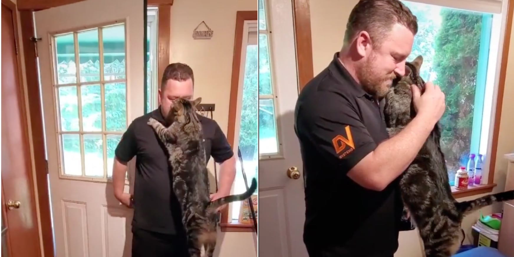 TikTok Video of Cat Jumping Into Man's Arms to Titanic Song | PS Pets