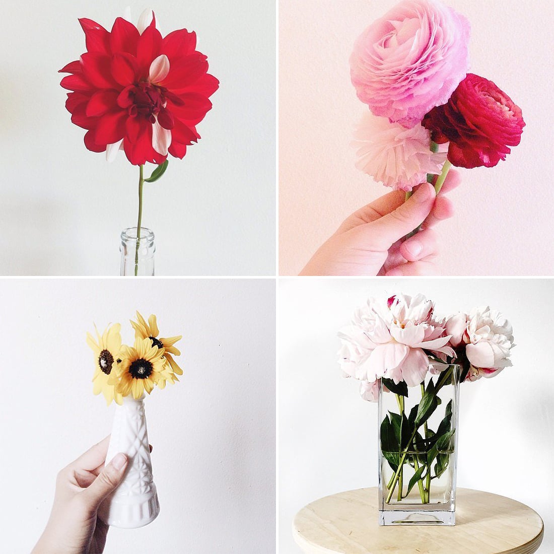Flower Inspiration | PS Home