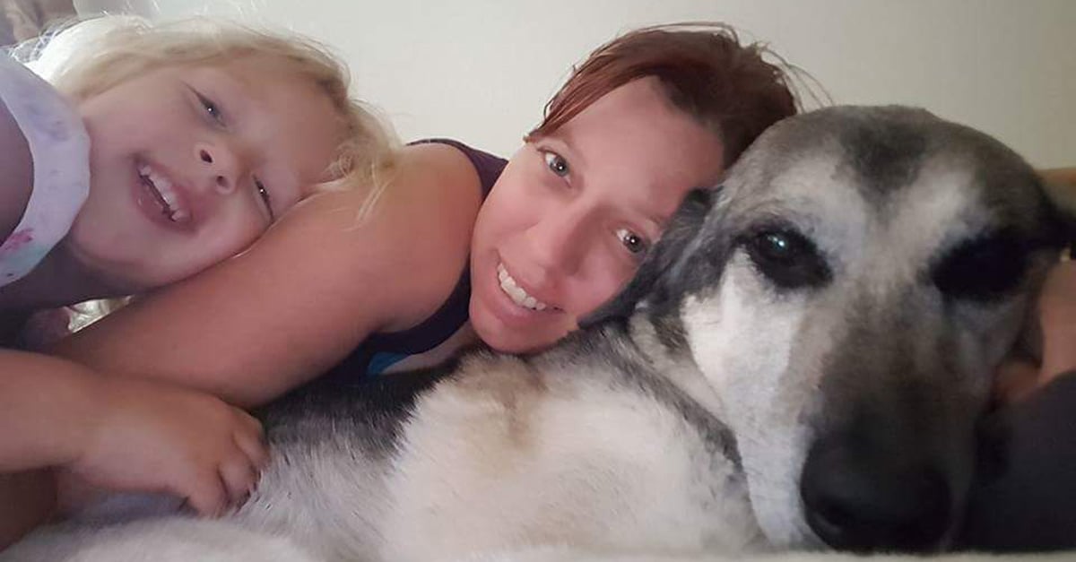 Dog Helps Owner Beat Drug Addiction | POPSUGAR Pets