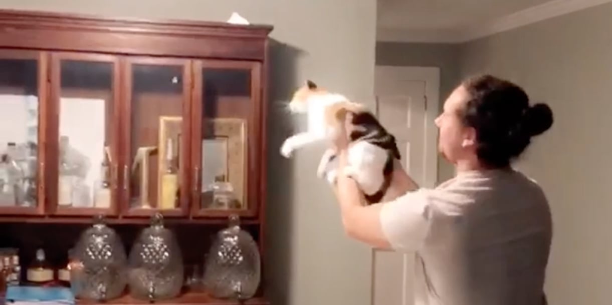 Man Helps Cat Catch a Moth | Video | PS Pets