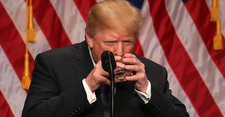 Donald Trump Drinking Water During a Speech December 2017 | POPSUGAR News