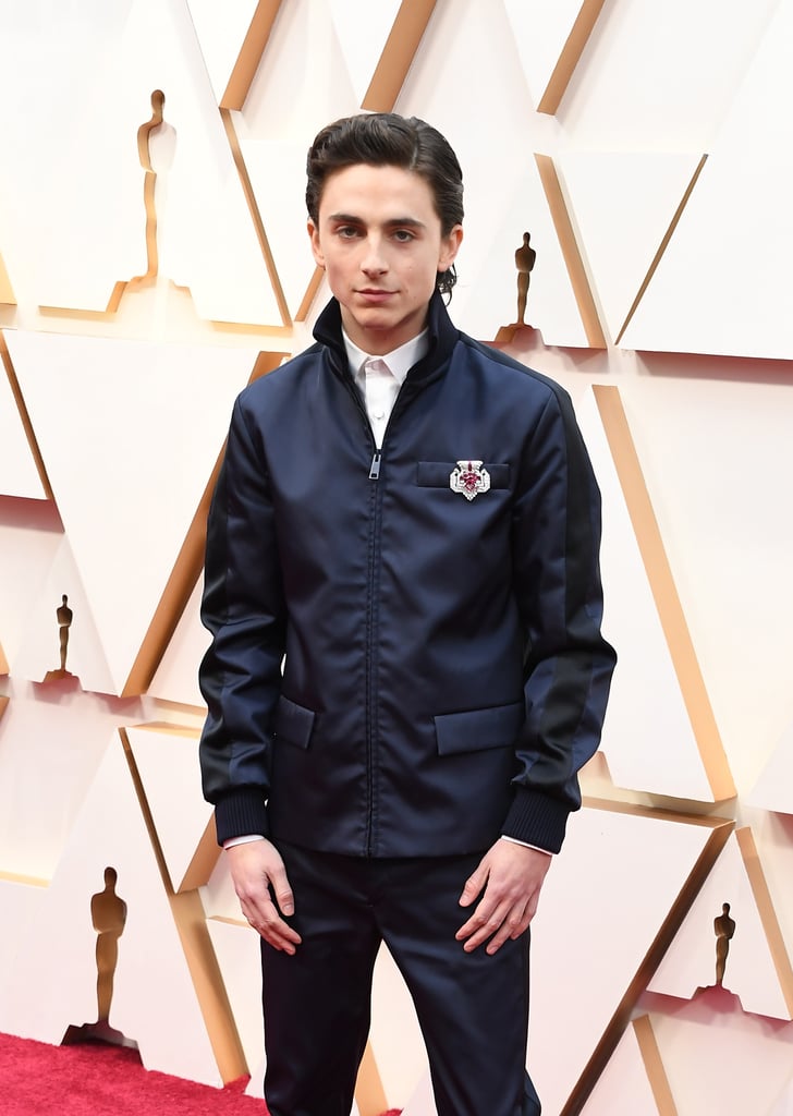 Timothee Chalamet's Wet Hairstyle at the Oscars 2020 | POPSUGAR Beauty