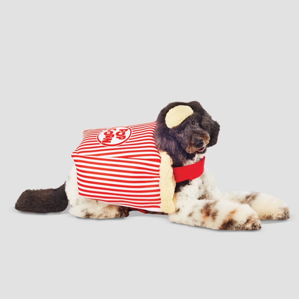 Best Target Pet Halloween Costumes | 2019 | POPSUGAR Pets