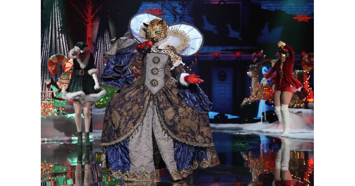 Season 2: The Leopard | The Masked Singer: Every Contestant Over the ...