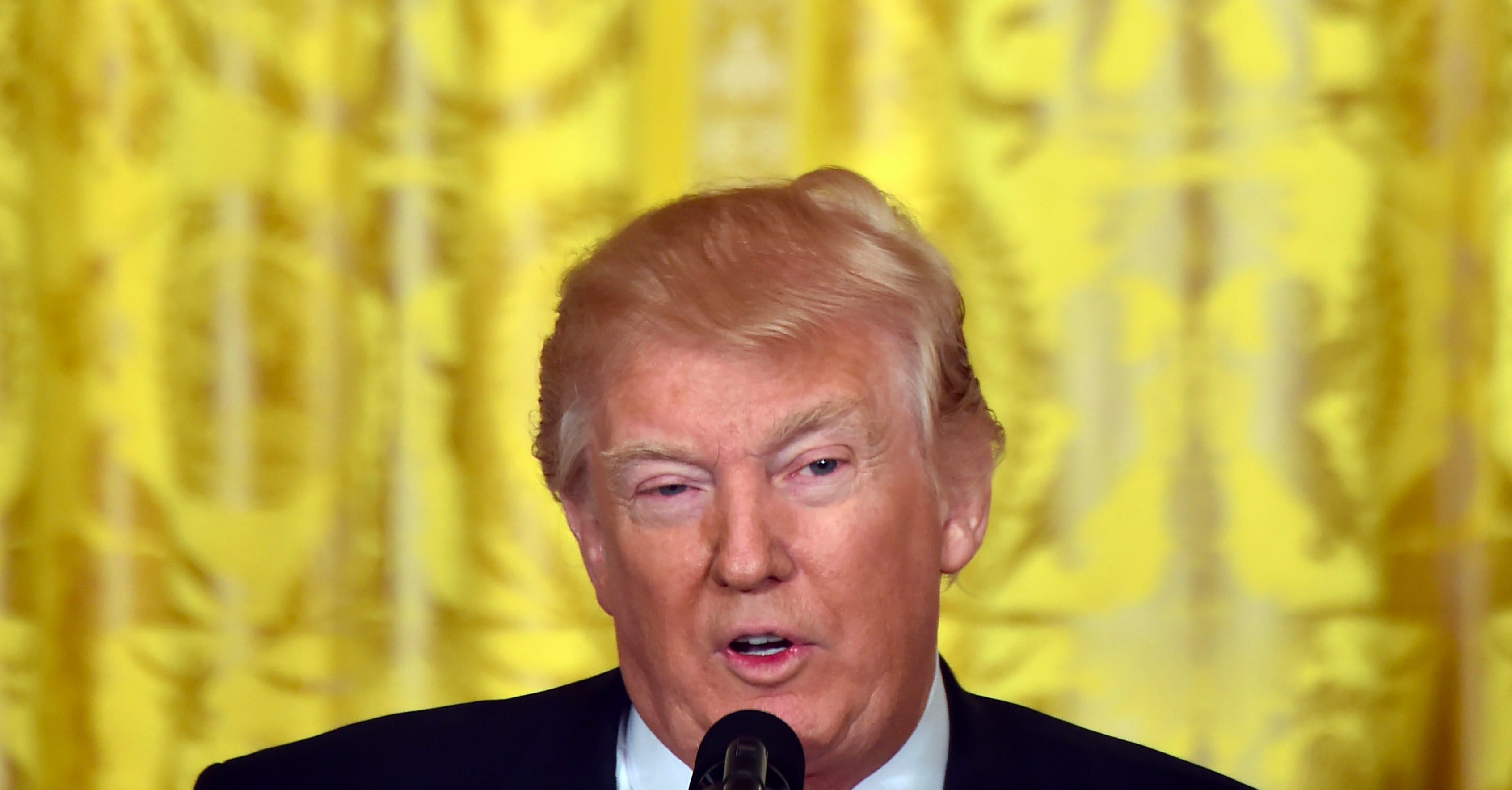 Trump Press Conference February 2017 | PS News