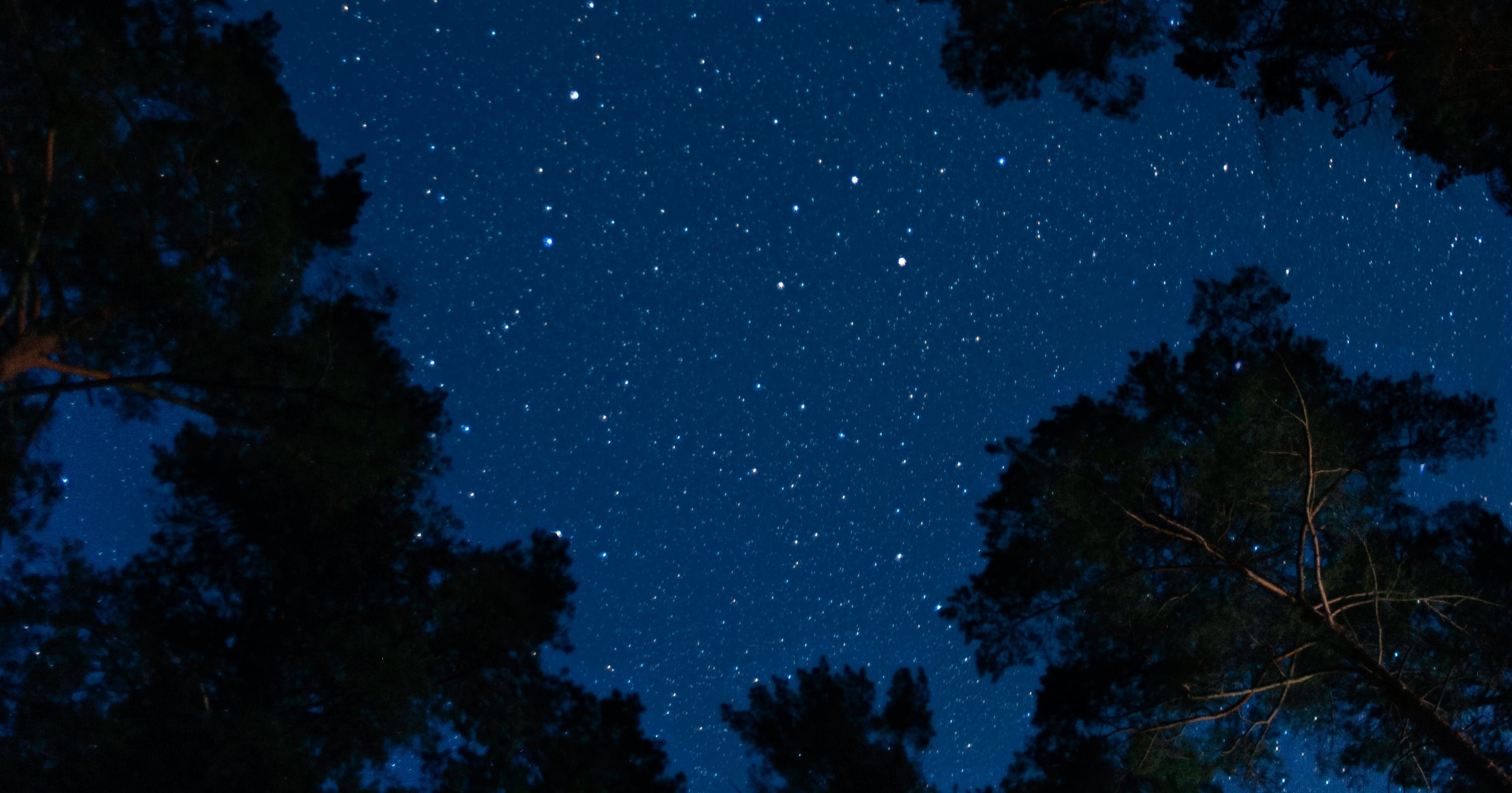 New Moon in Virgo September 2023 Meaning For Zodiac Signs | PS Smart Living