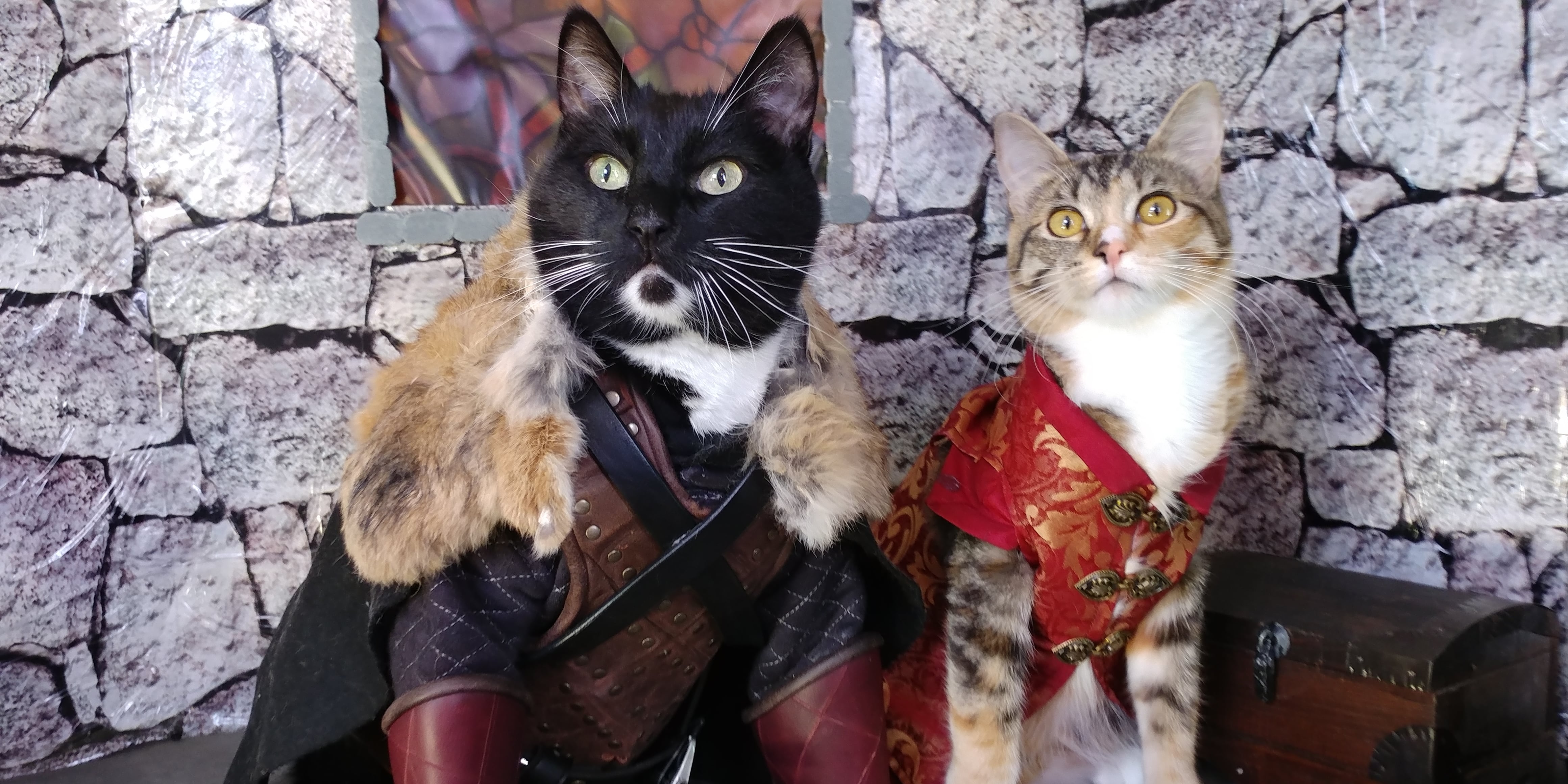 Cats Cosplaying as Famous TV and Movie Characters Photos | POPSUGAR Pets