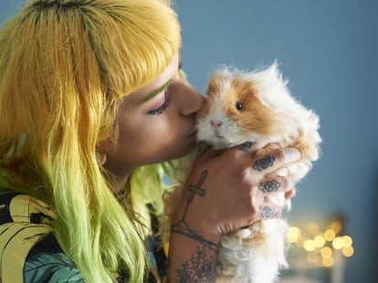 10 of the Easiest Small Pets to Take Care Of | POPSUGAR Pets