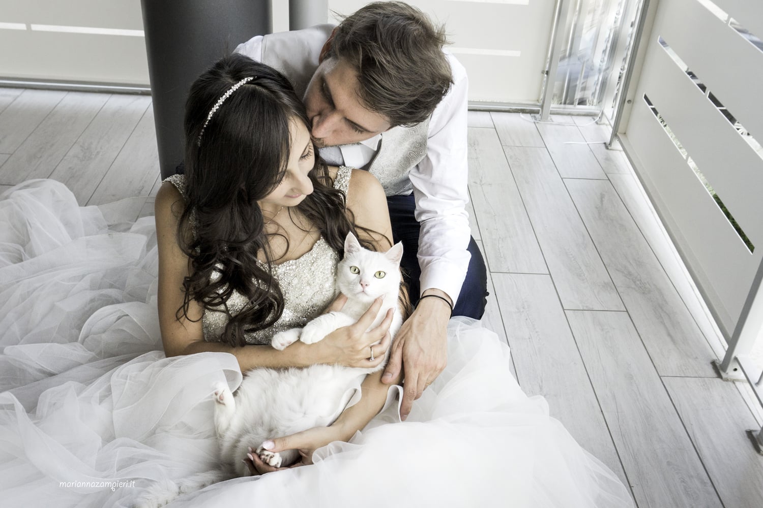 Cats Getting Married