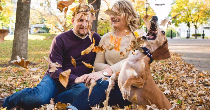 Dog Photobombs Engagement Photo Shoot by Playing in Leaves | POPSUGAR ...