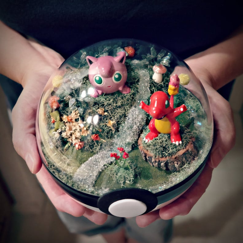 Where Can You Buy Pokemon Terrariums? | PS Tech