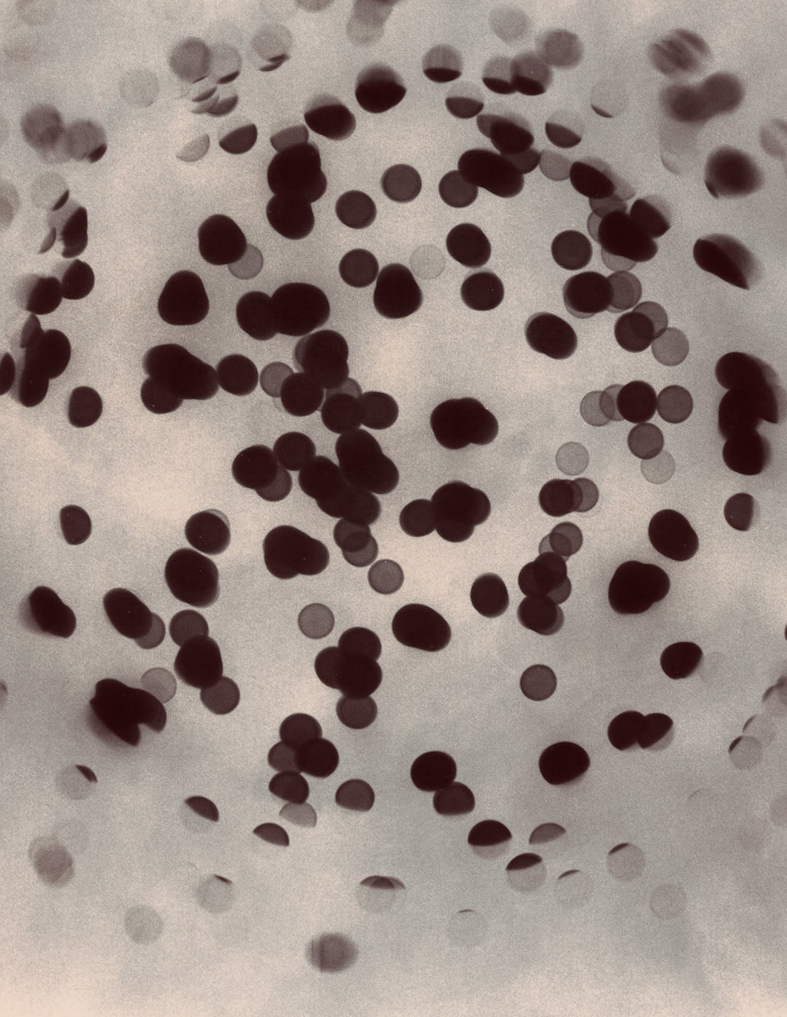 Sony World Photography Winners | PS Tech