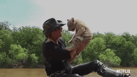Tiger King GIFs | PS Entertainment
