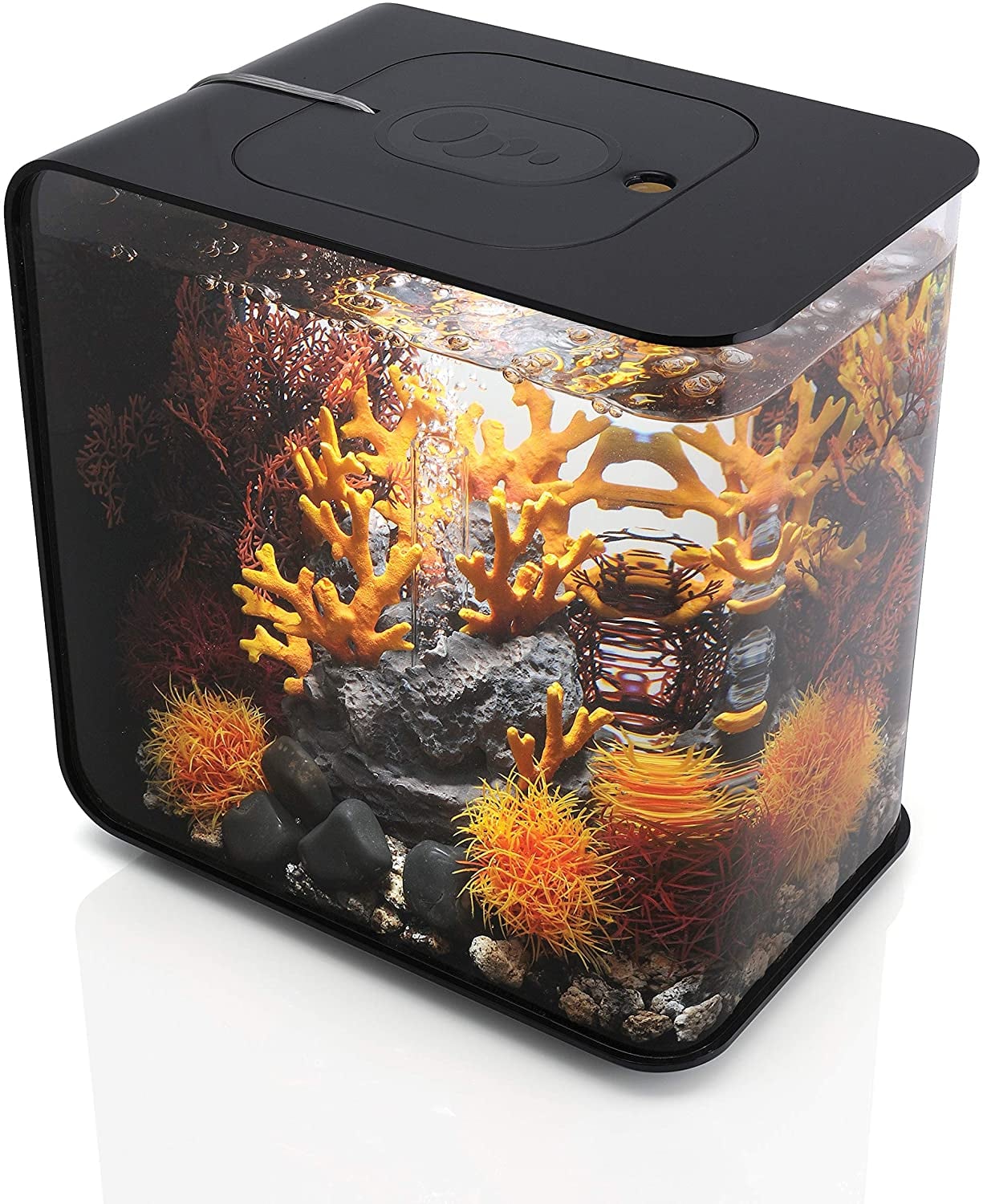 The 20 Best Fish Tanks for Beginners | POPSUGAR Pets