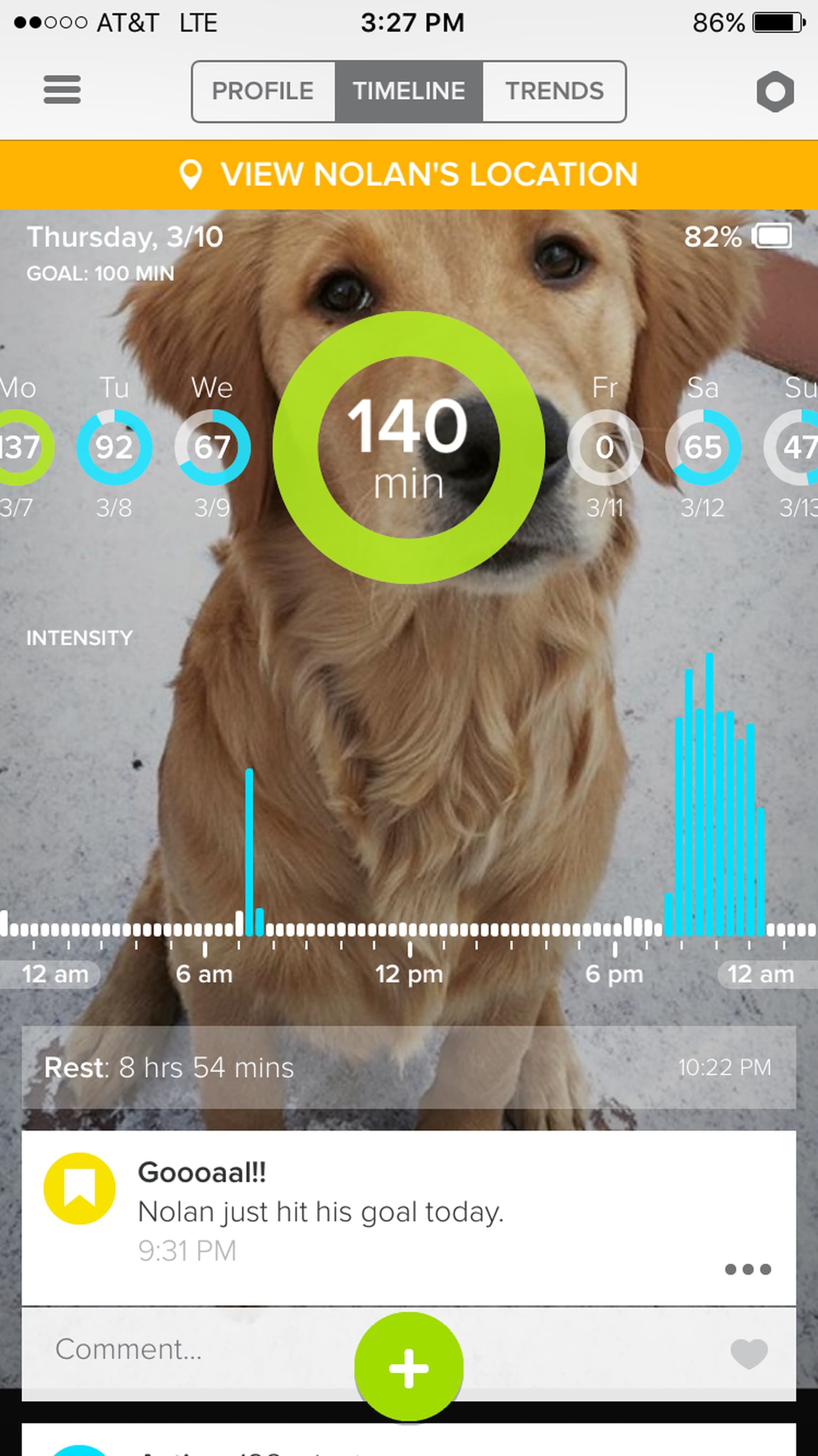 Fitness Trackers For Dogs | PS Pets