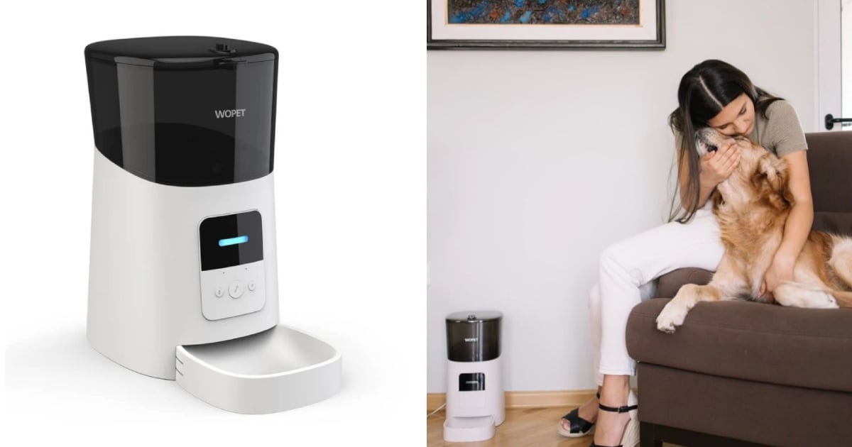 WOpet Automatic Pet Feeder Review | PS Pets