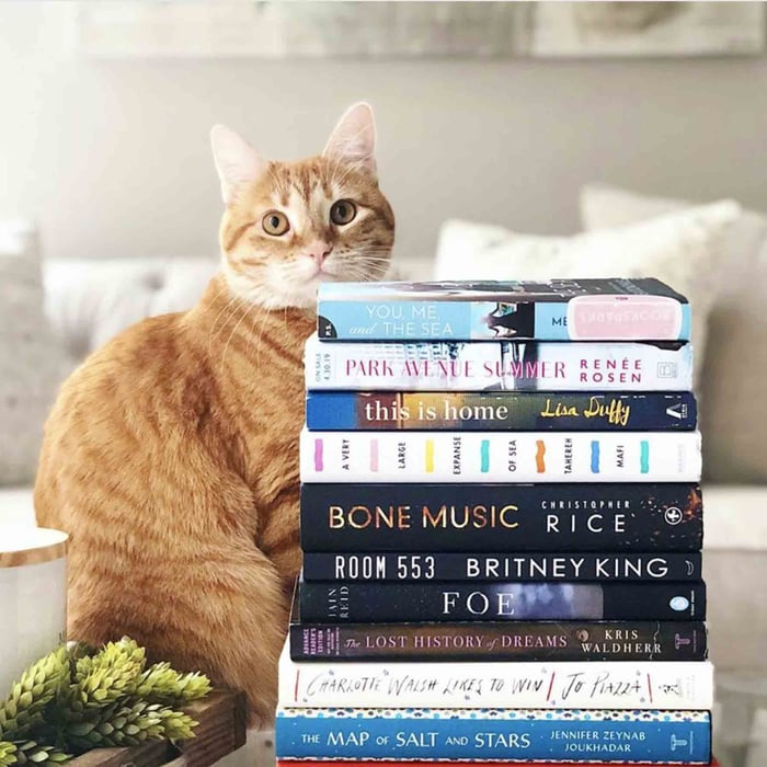 Best Book and Reading Instagram Accounts to Follow | PS UK Entertainment