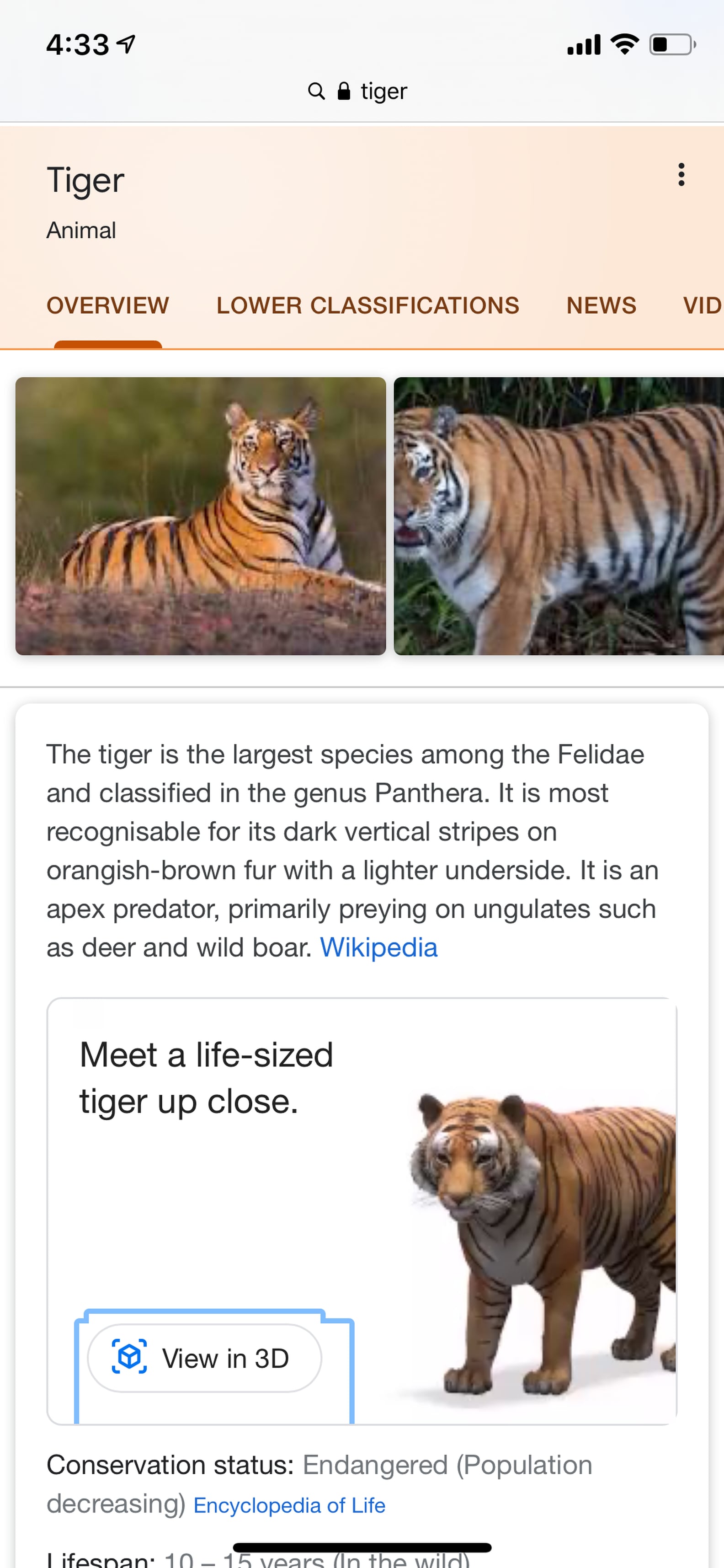 How to Use Google's "View in 3D" Feature to See Animals | PS Tech