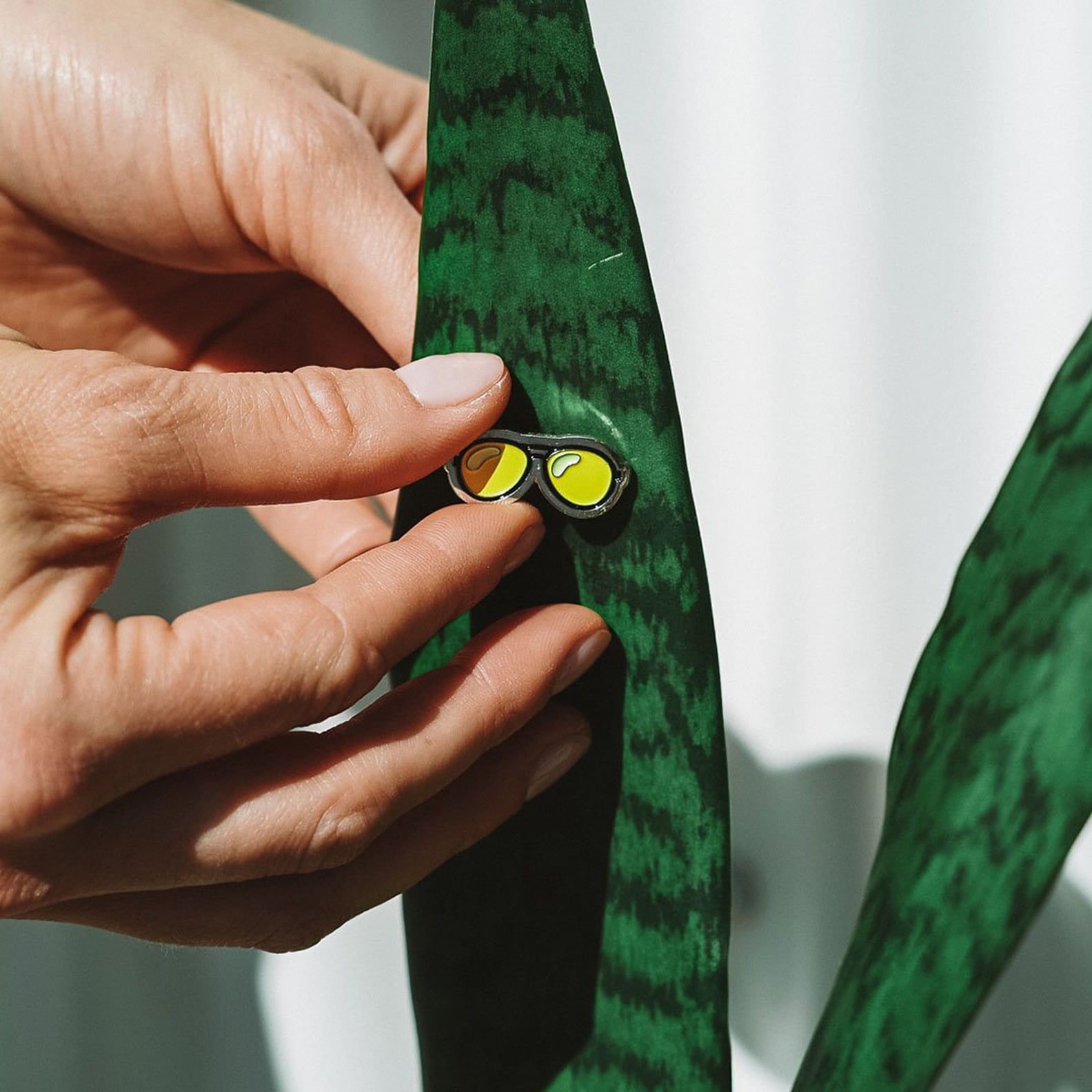 Shop Plant Pins For Your House Plants | PS Home