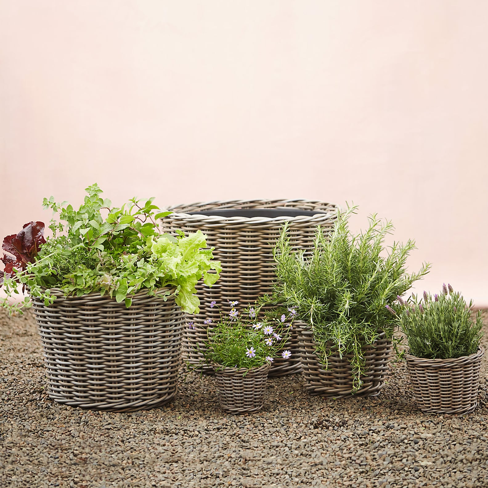 Best Outdoor Planters From Terrain | PS Home