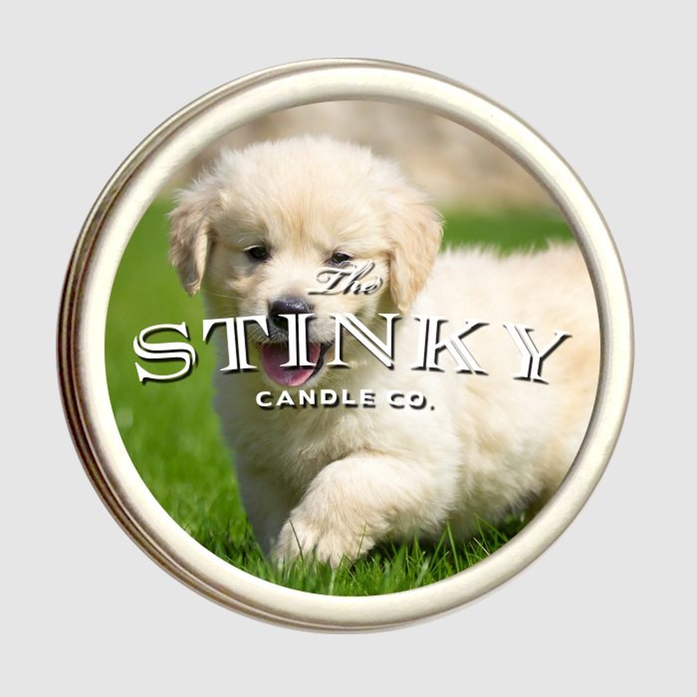 Stinky Candle Company Candles | PS Home