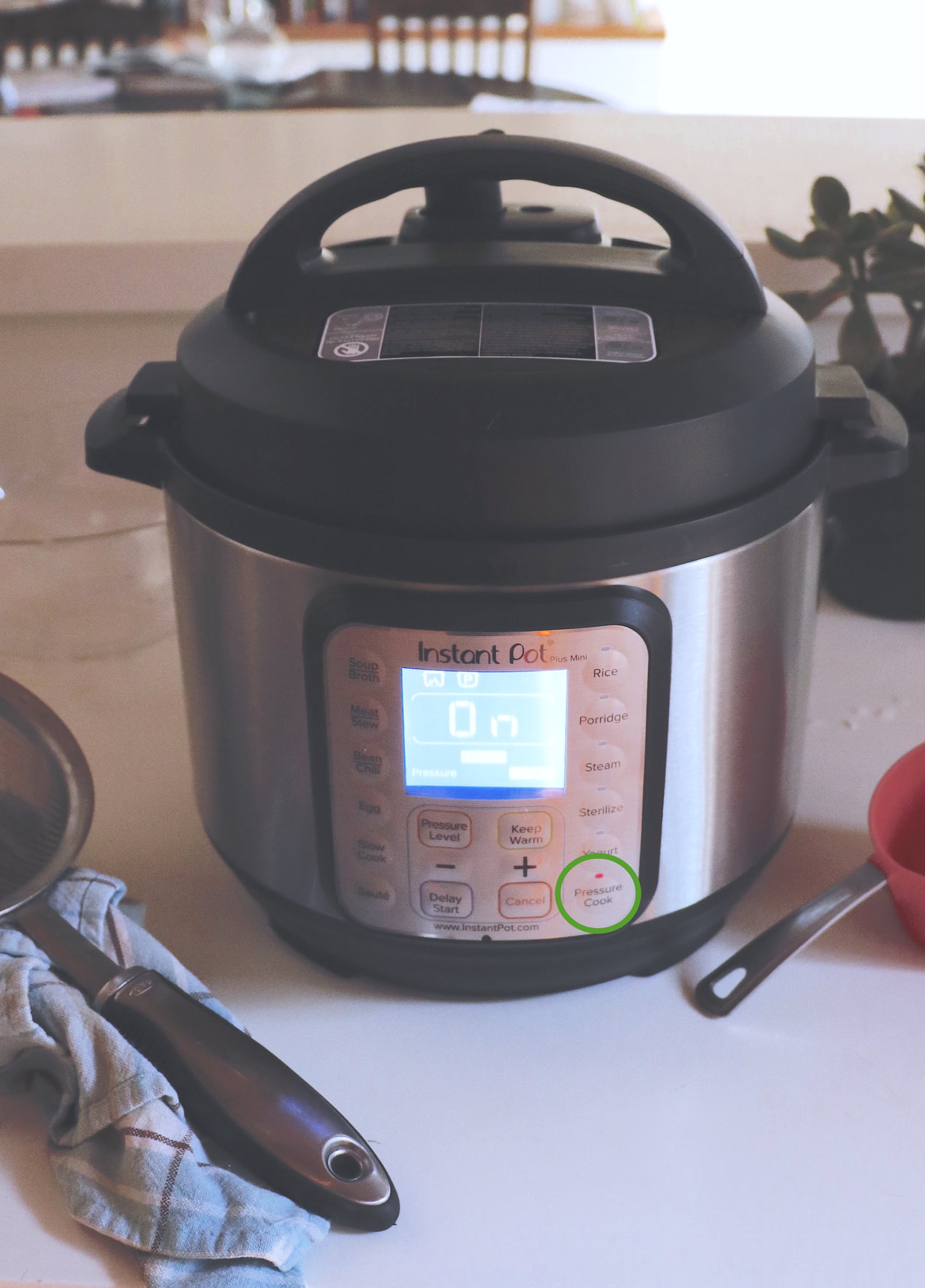 How to Cook Rice in an Instant Pot | PS Food