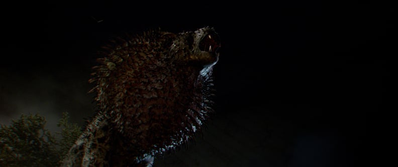 Fantastic Beasts and Where to Find Them Pictures | POPSUGAR Entertainment