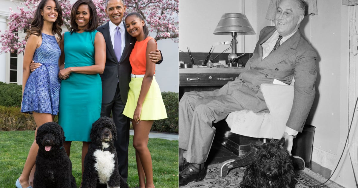 The Cutest Presidential Pets Through History | PS Pets