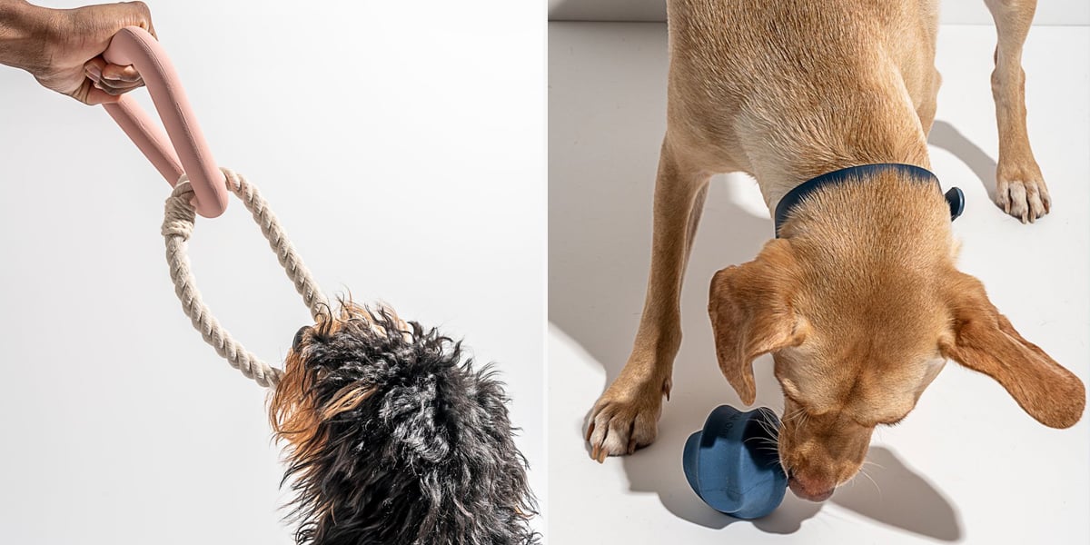 15 Cute and Sustainable Dog Toys | POPSUGAR Pets
