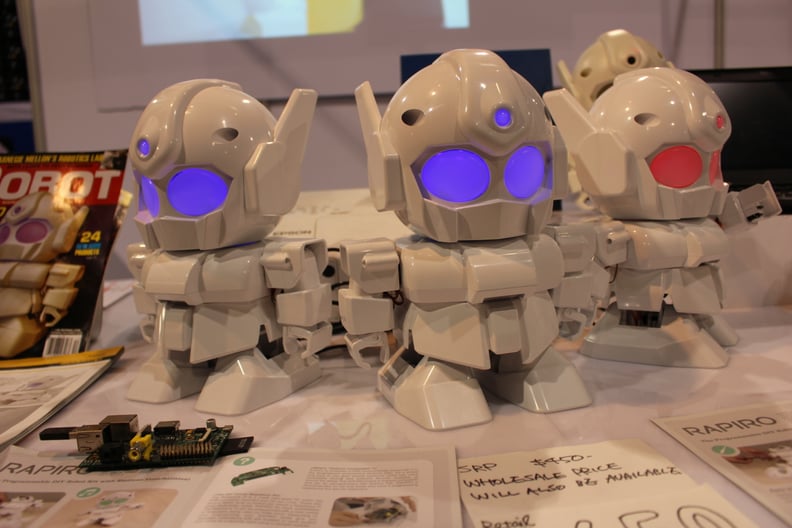 Robots at CES 2014 | PS Tech