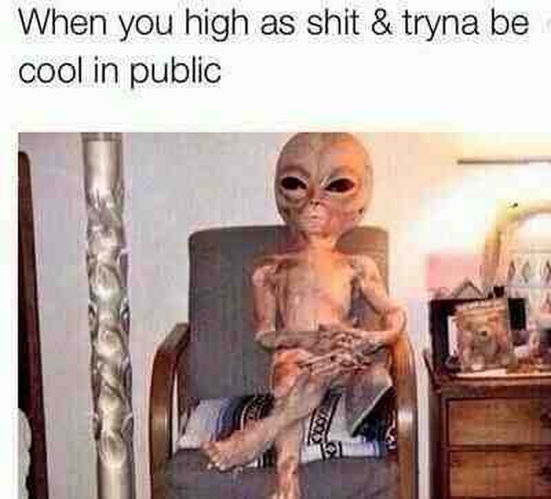 Funny Weed Memes | POPSUGAR Tech