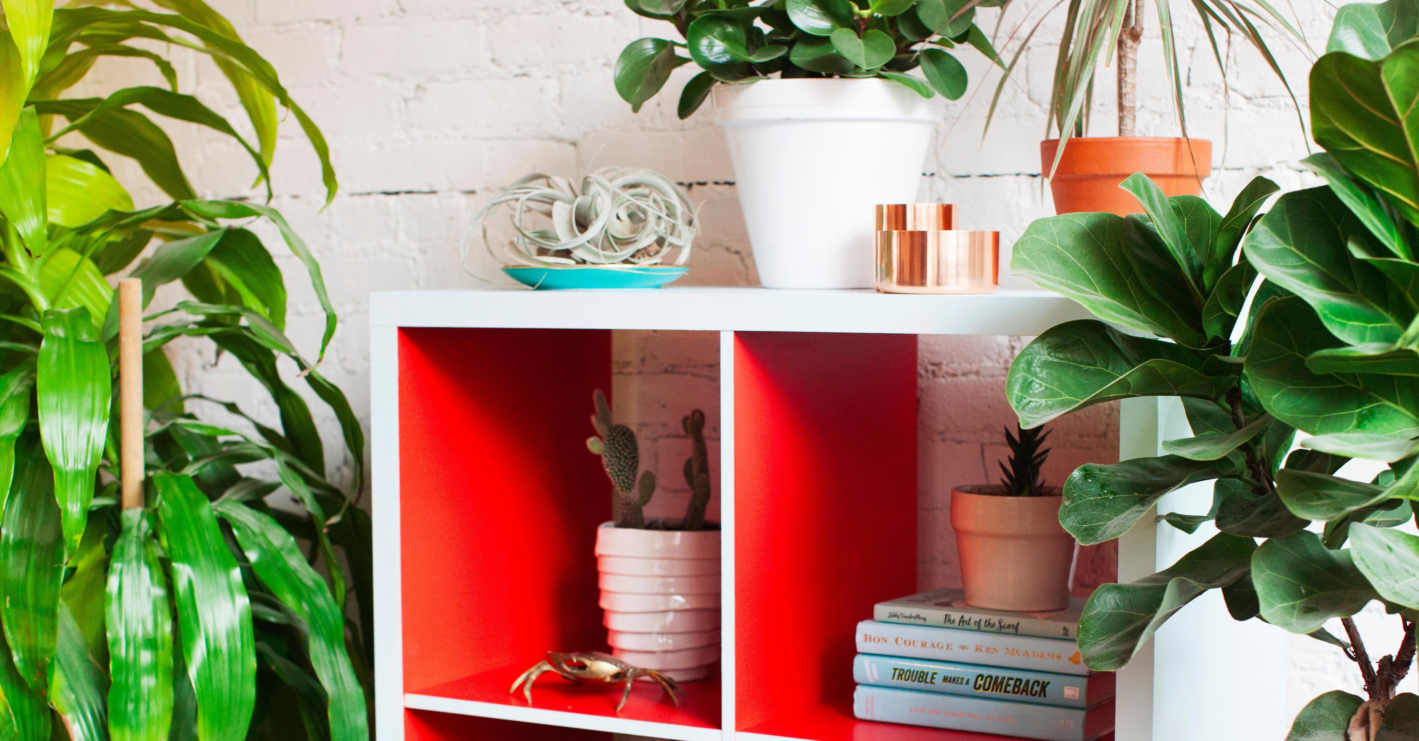 DIY Painted Bookshelf | PS Home