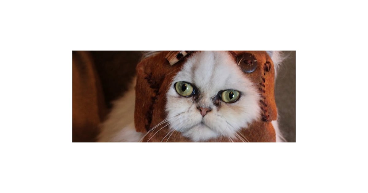 National Cat Day Geek Pictures | POPSUGAR Tech