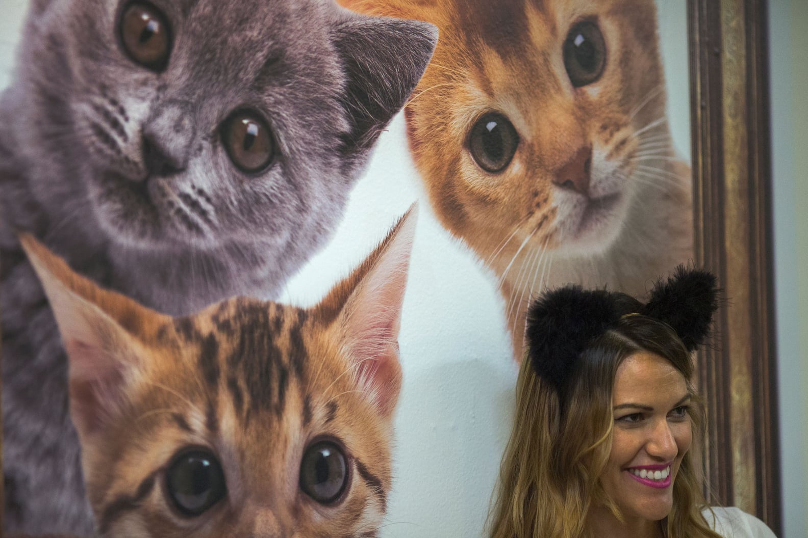 Cat Con LA 2016 Pictures | PS Pets