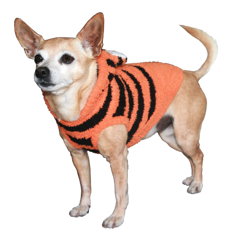 Warm and Cozy Disney Sweaters For Dogs | PS Pets