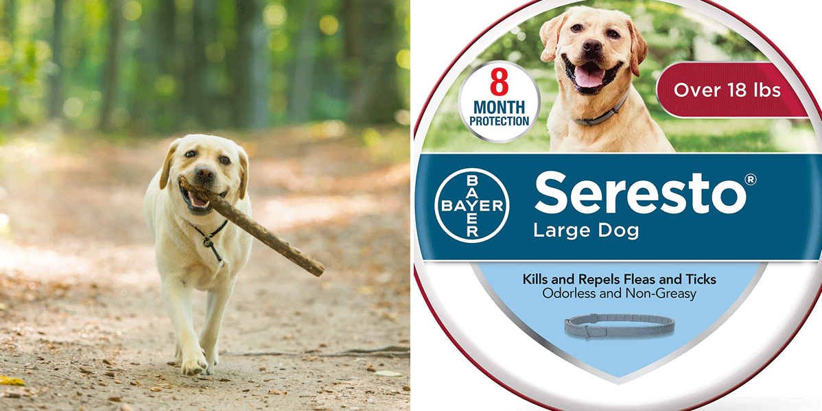 Seresto Flea and Tick Dog Collar Review | PS Pets