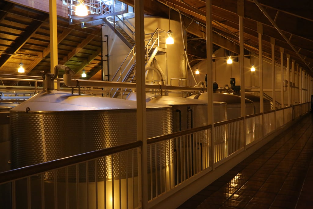 How Is Champagne Made? | POPSUGAR Food