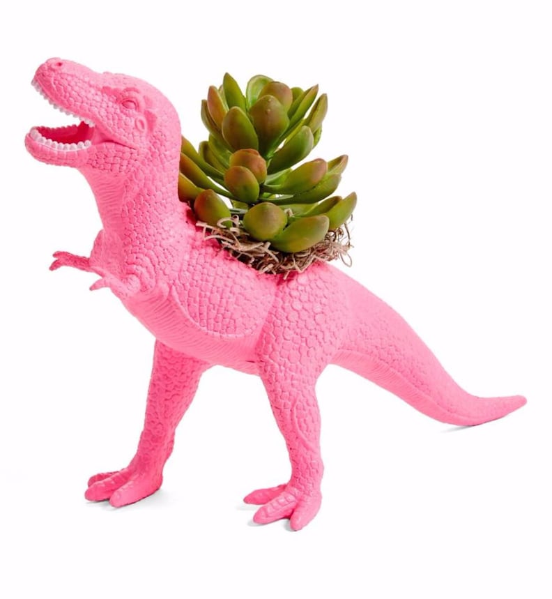 Cute Desk Planters | PS Smart Living