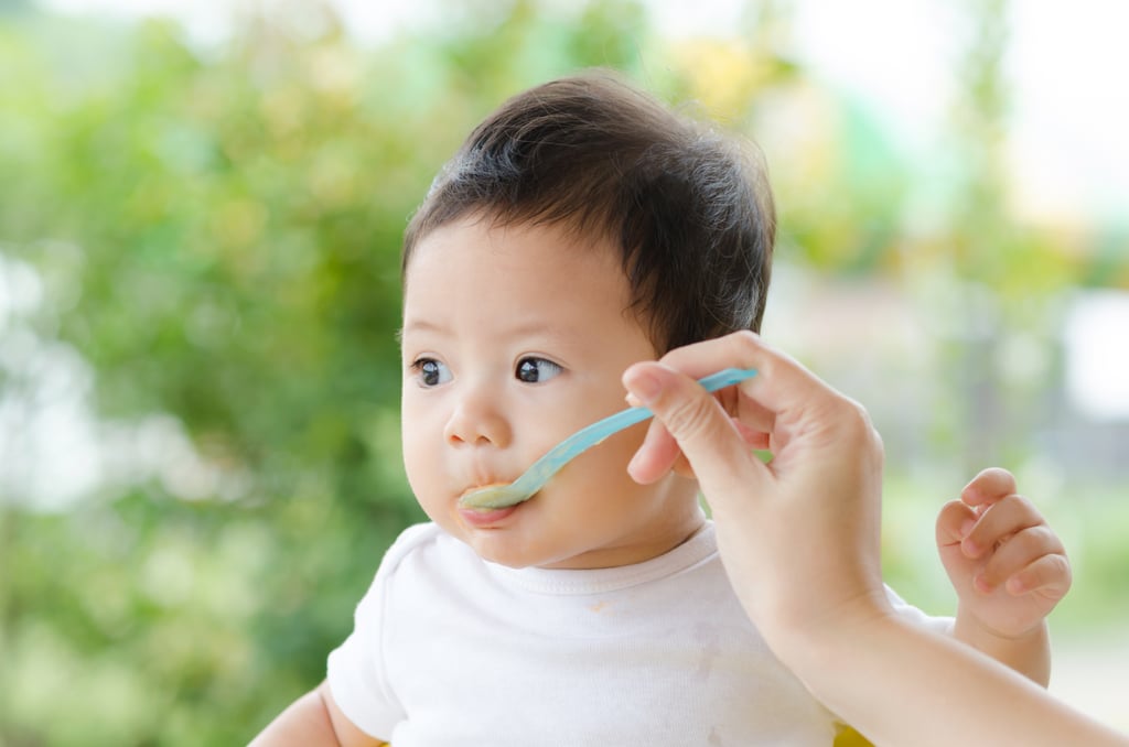 Easy Baby Food Recipes POPSUGAR Family