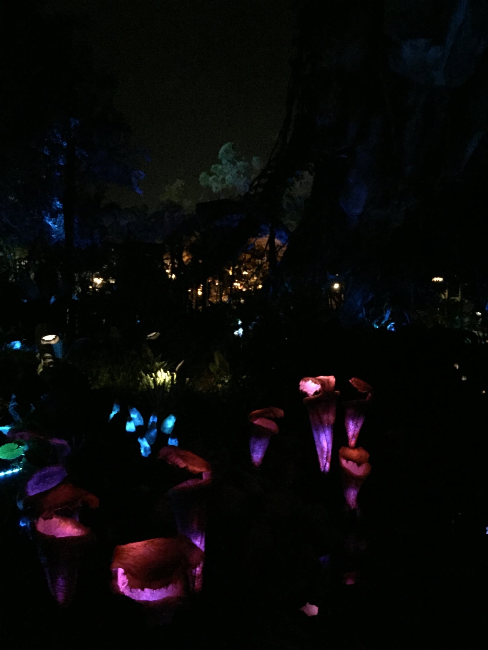 Pandora World of Avatar at Night | PS Smart Living