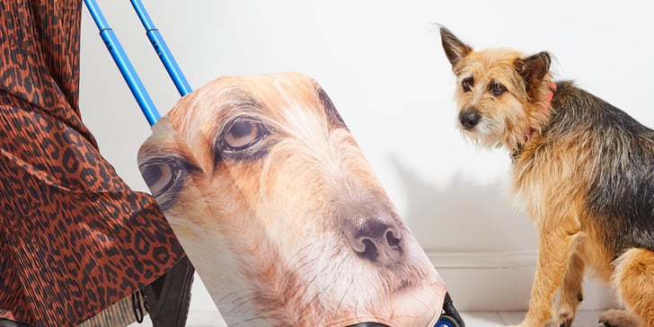 Personalized Dog and Cat Suitcase Covers | POPSUGAR Family