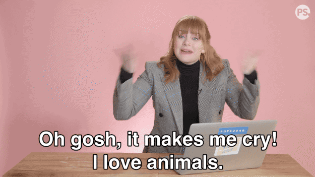 Bryce Dallas Howard A Dog's Way Home Interview | PS Celebrity