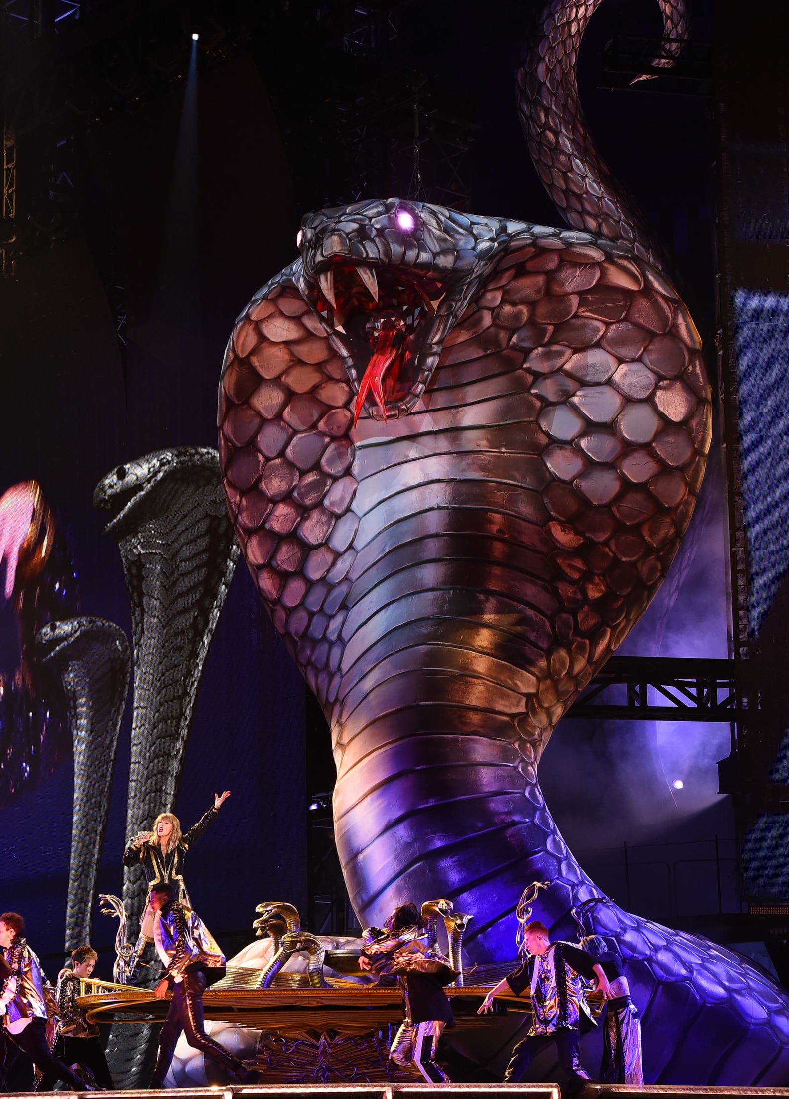 Taylor Swift Reputation Stadium Tour Pictures | PS Celebrity