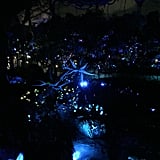 Pandora World of Avatar at Night | POPSUGAR Smart Living