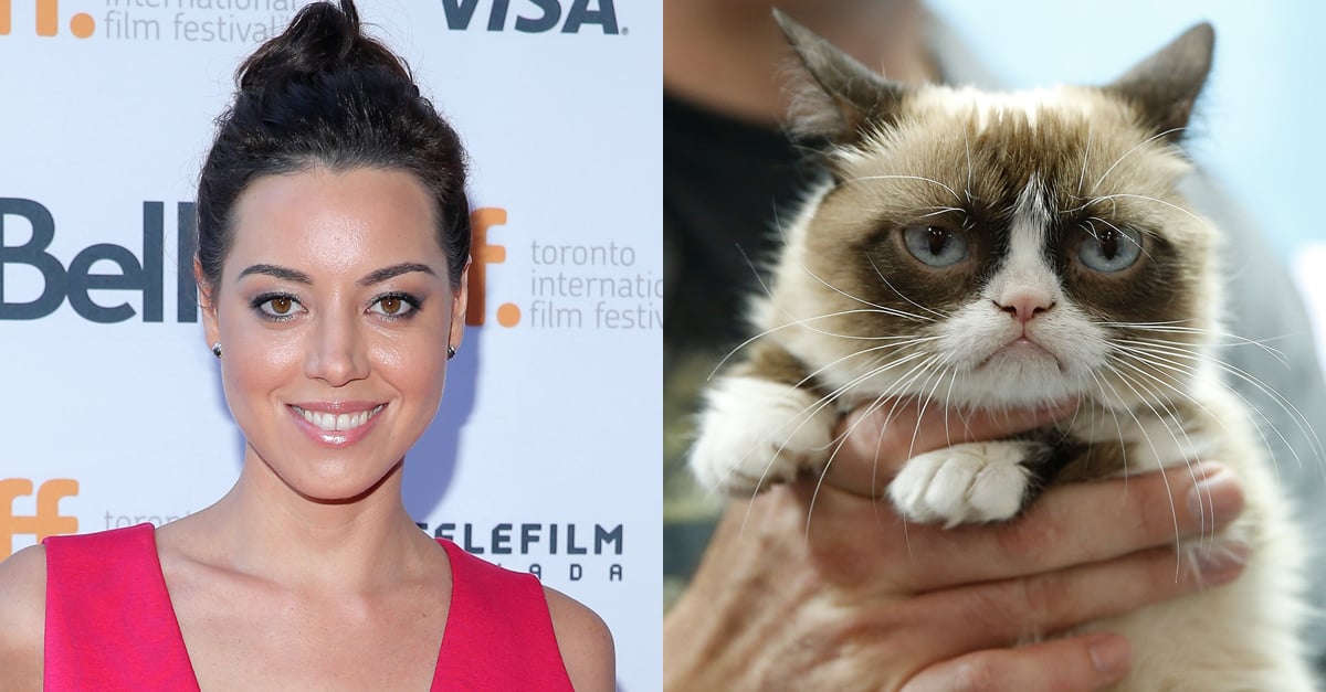 Aubrey Plaza Will Voice Grumpy Cat in Lifetime Movie | POPSUGAR ...