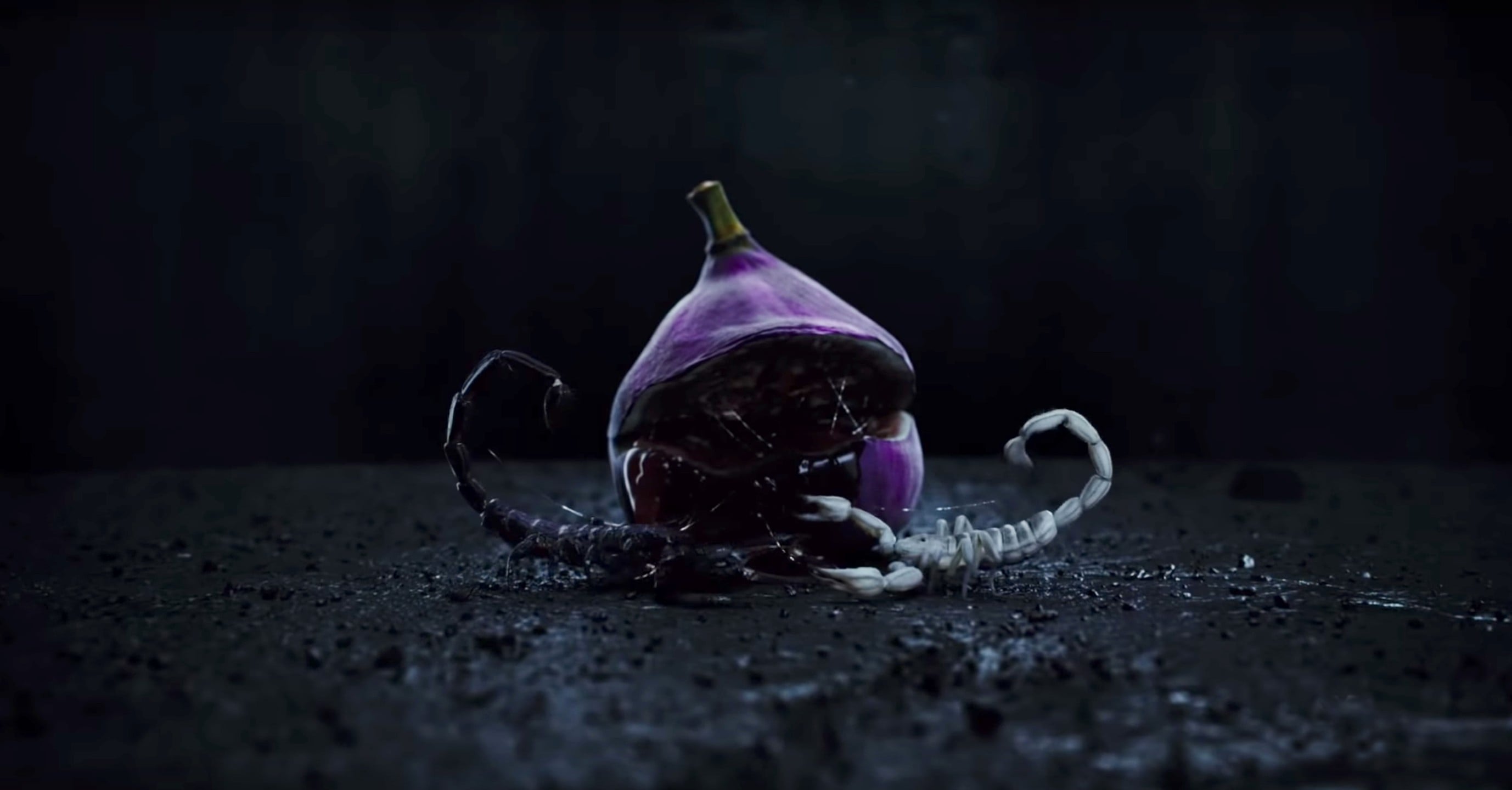 American Horror Story Apocalypse Book of Revelation Theory | POPSUGAR ...